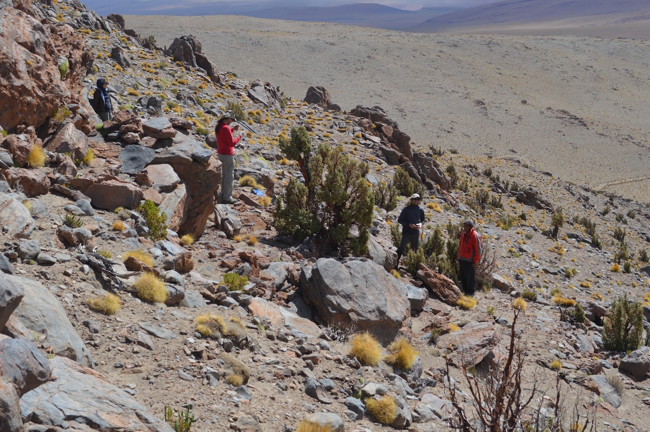 Descifrando 300 Años de Historia Climática en los Anillos de Á