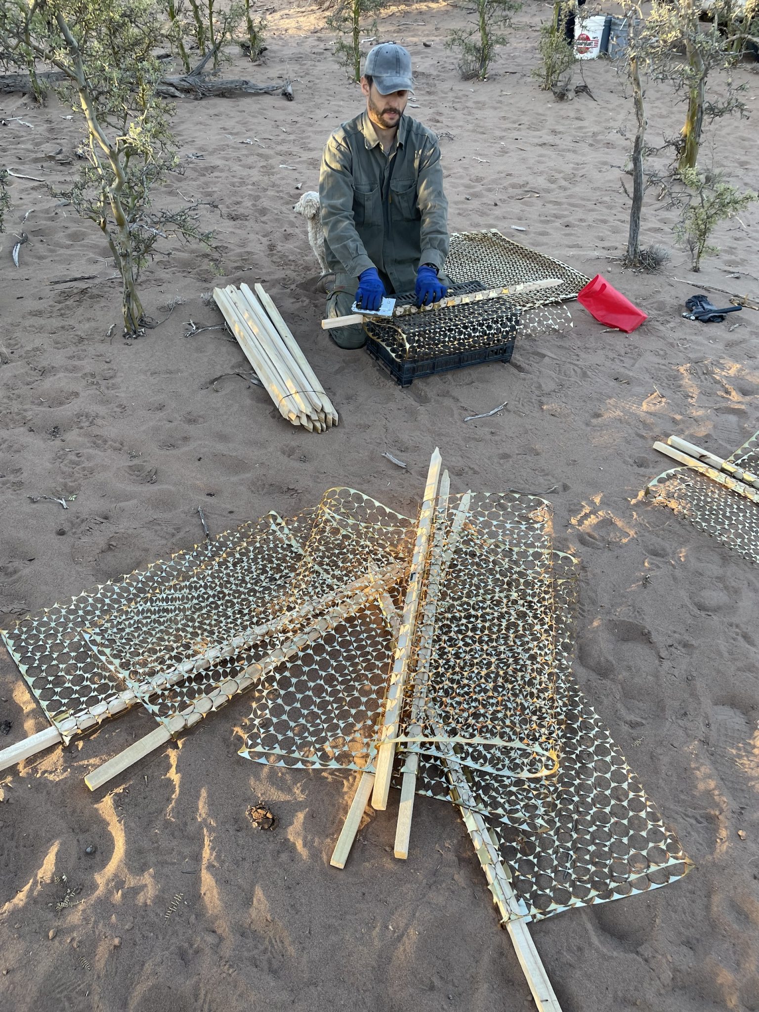 Innovador proyecto de Restauración Ecológica en Tierras Secas d
